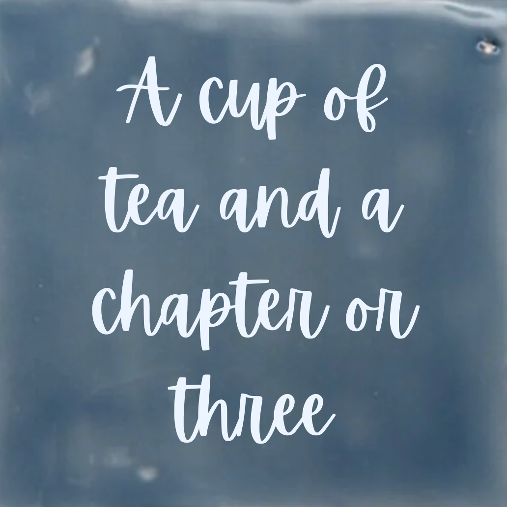 Charms of Chapters | Boek Boxen, Booksleeves & Boekenleggers – Charms Of Chapters